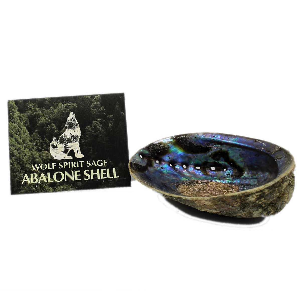 Wolf Spirit Sage Abalone Shell – Cloud Nine Shoppe